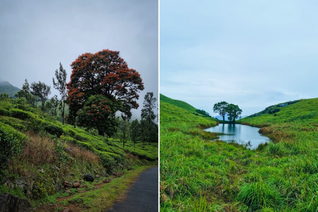 The 8 Best Places to Visit in Wayanad | Edakkal Caves, Chembra Peak ...