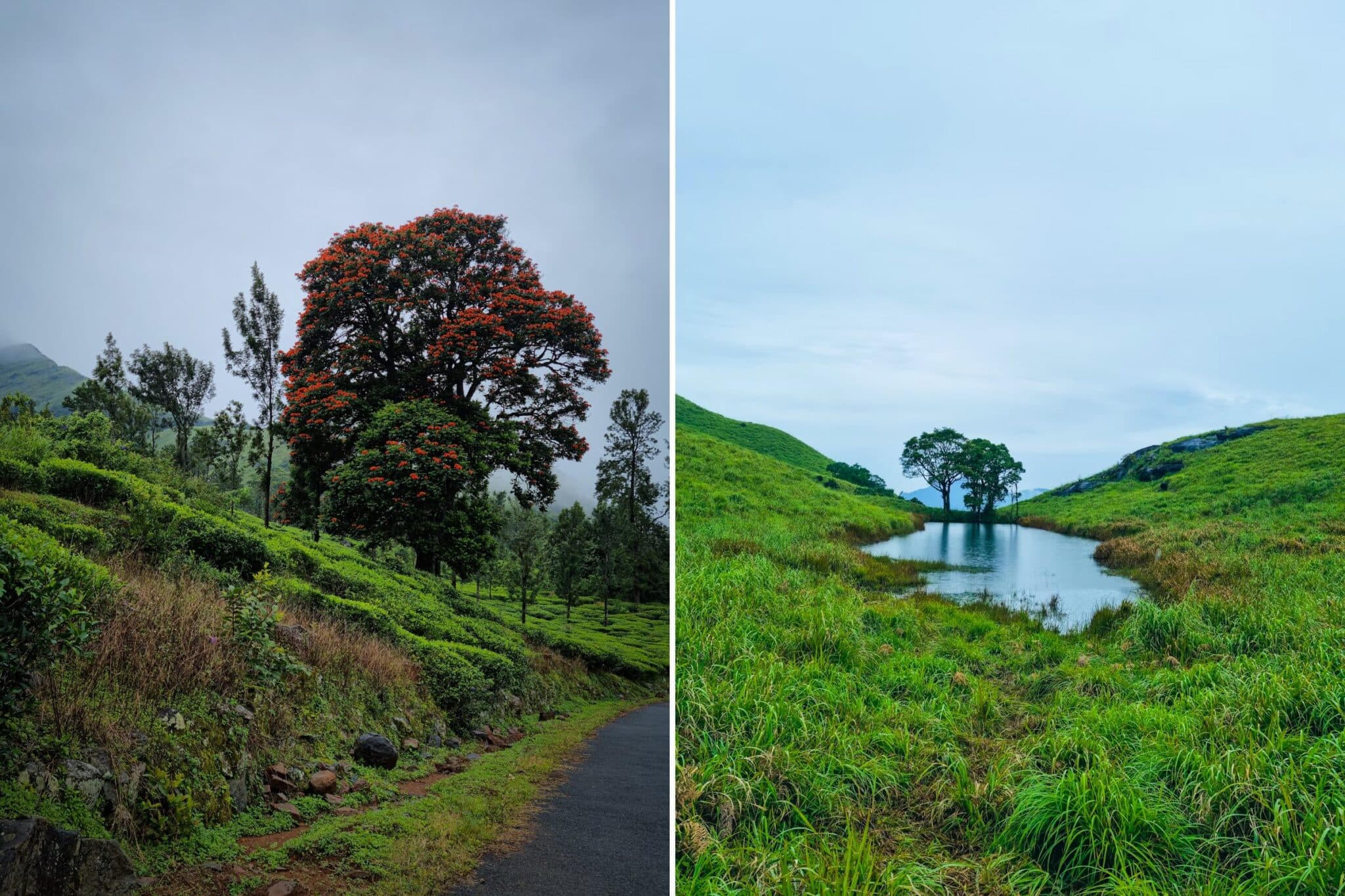 The 8 Best Places to Visit in Wayanad | Edakkal Caves, Chembra Peak ...