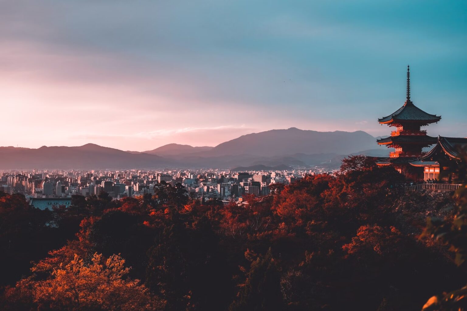 8 Best Things To Do In Japan | More Than Cherry Blossoms — Buzzpedia